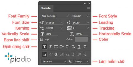 [9] Cách sử dụng Type Tool trong Photoshop - Piodio
